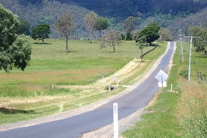 Mount Glorious to Mount Mee Car Tour - Brisbane Nature Tours